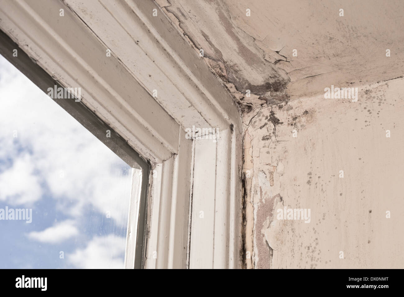 Mould and wood rot on a window frame and wall Stock Photo - Alamy