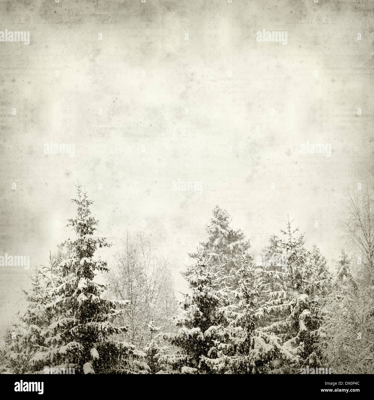textured old paper background with trees under snow Stock Photo - Alamy