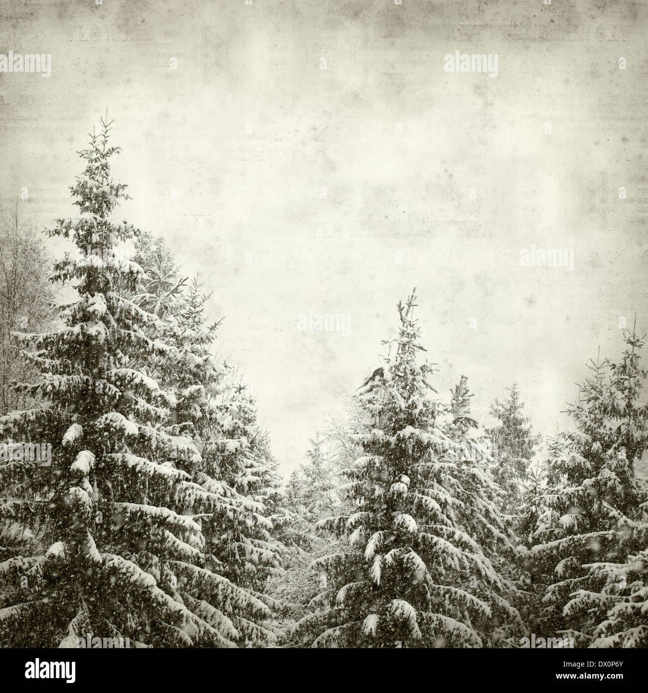 textured old paper background with trees under snow Stock Photo - Alamy