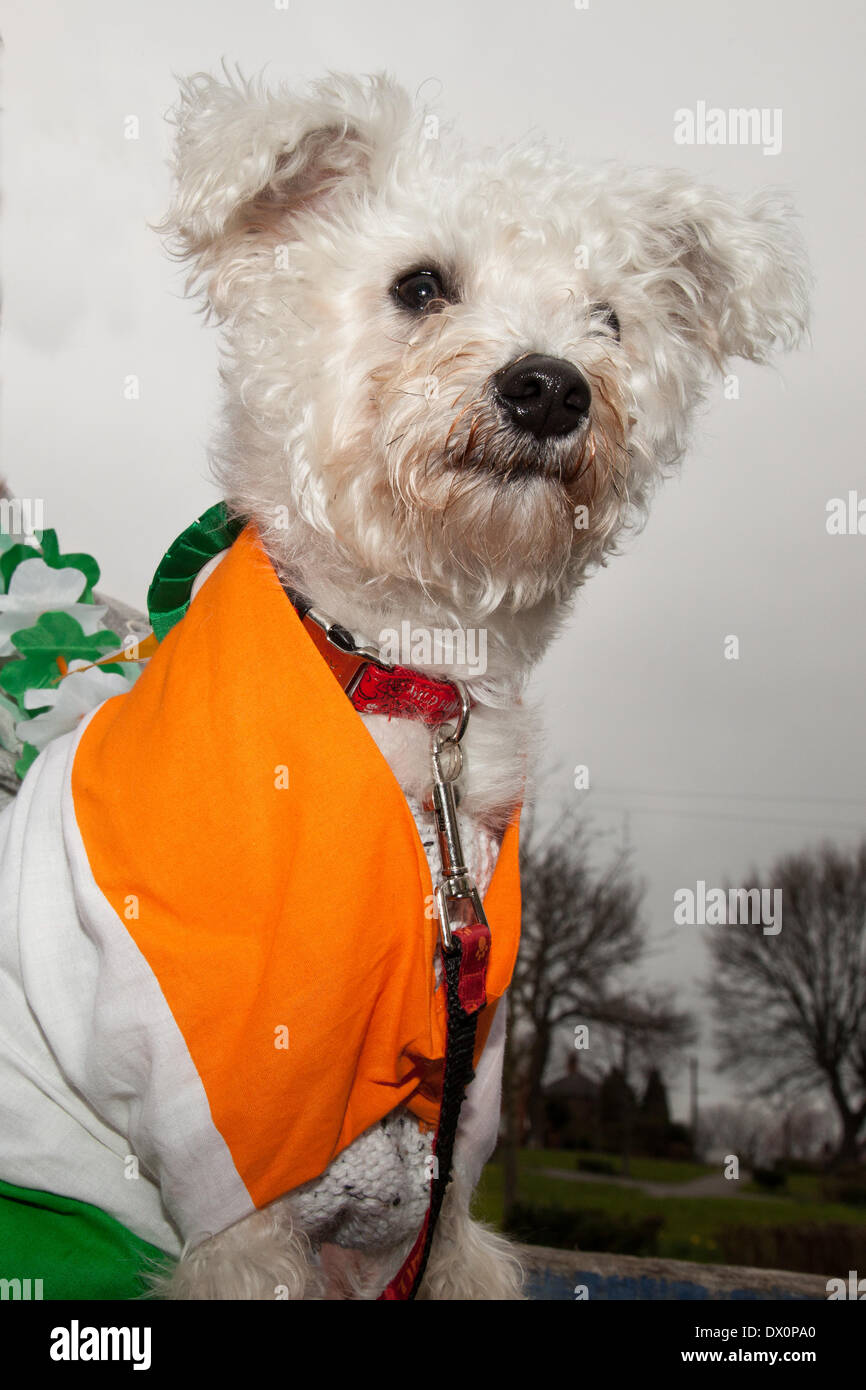 Irish folklore death hi-res stock photography and images - Alamy