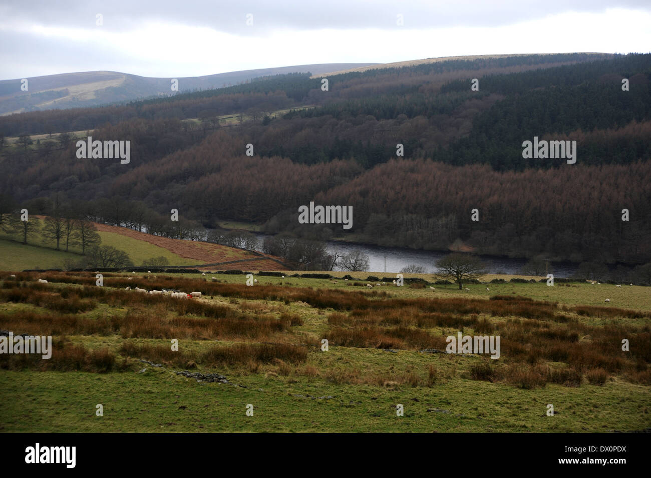 Buxton lake hi-res stock photography and images - Alamy