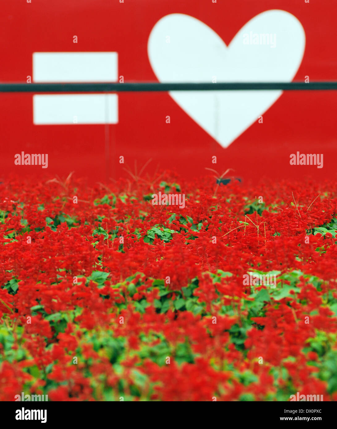 Flowers, life, blood Stock Photo - Alamy