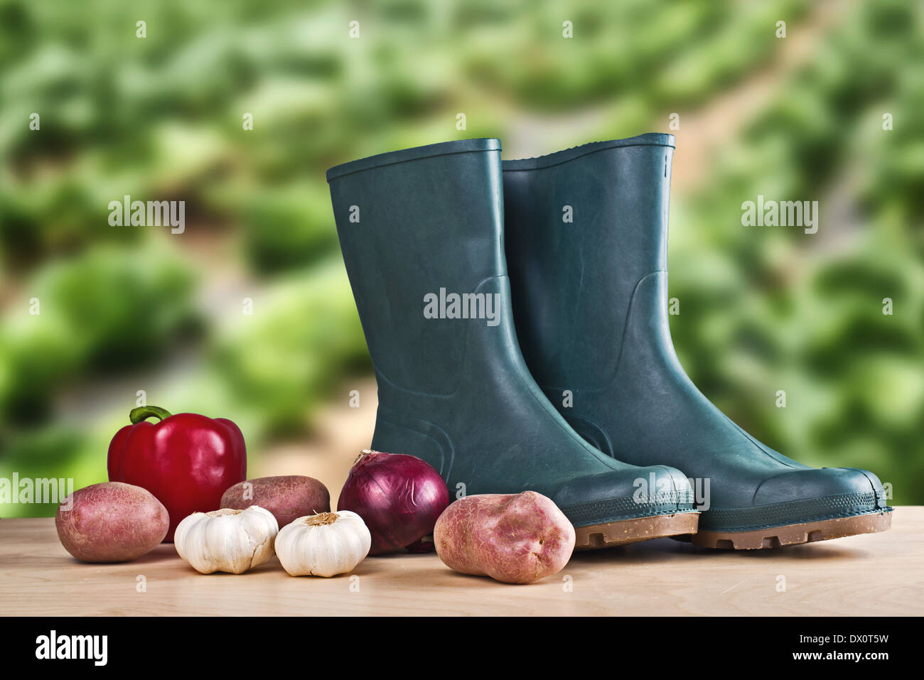 Rubber boots and various vegetable. Gardening concept - growing ...