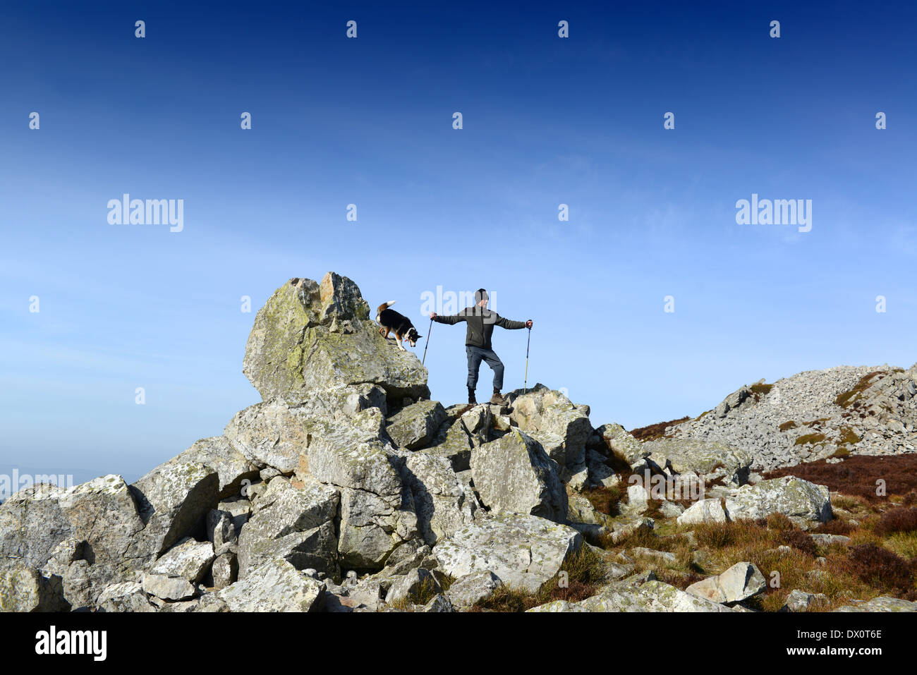 Man and dog walking The Stiperstones a National Nature Reserve on the ...