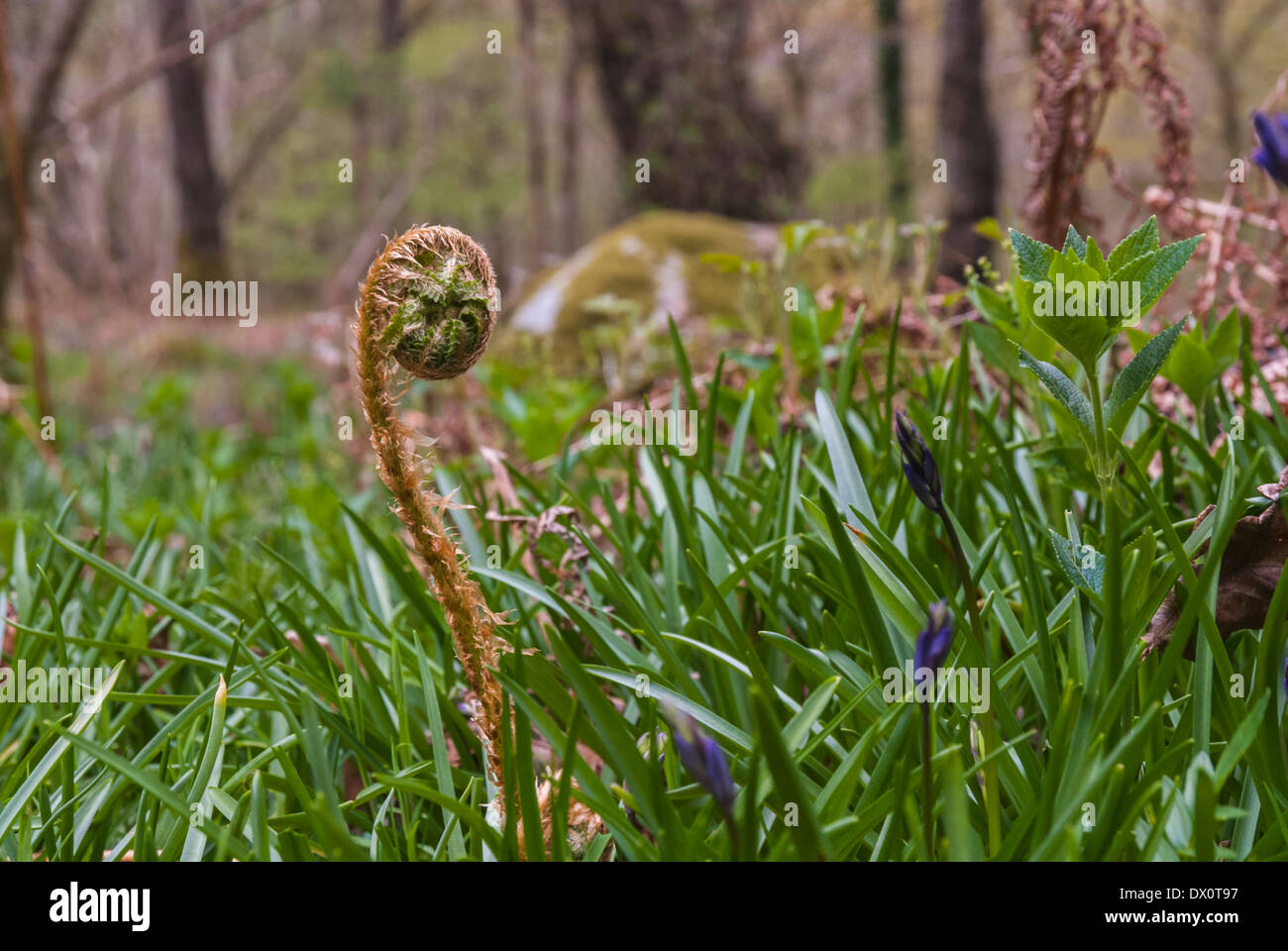 Time to unfurl hi-res stock photography and images - Alamy