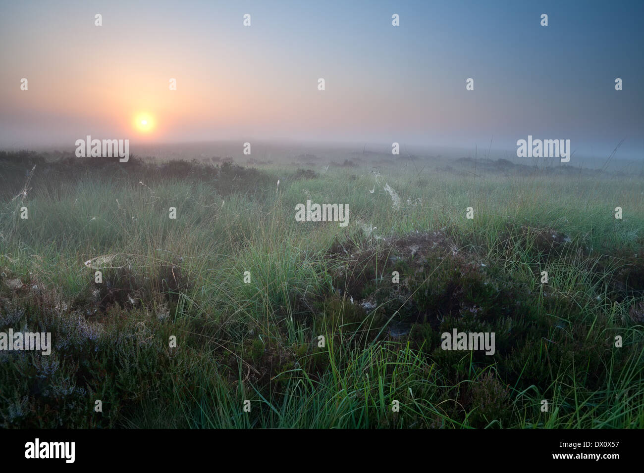 Sunrise over marsh hi-res stock photography and images - Alamy