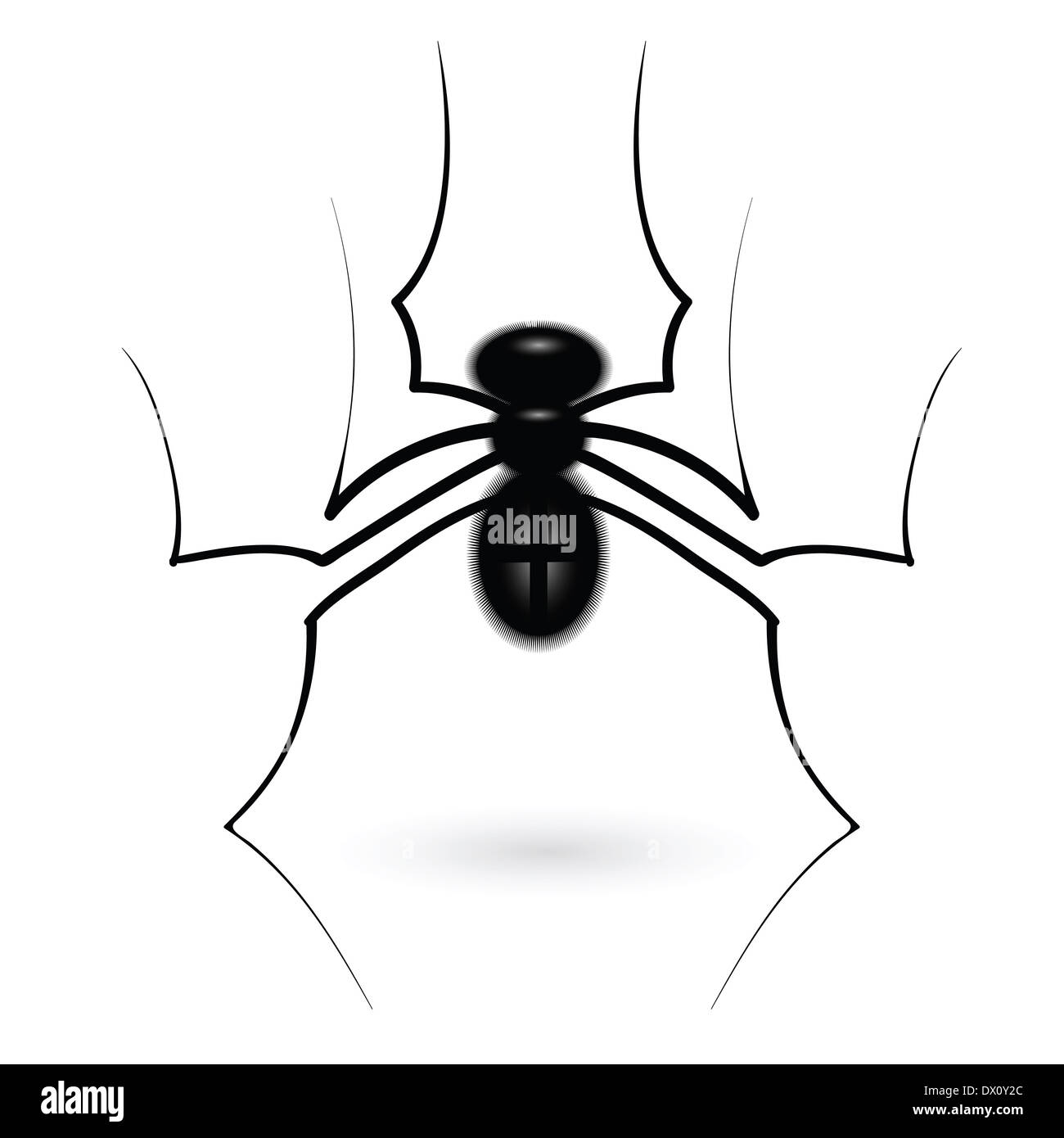 colorful illustration with spider for your design Stock Photo - Alamy