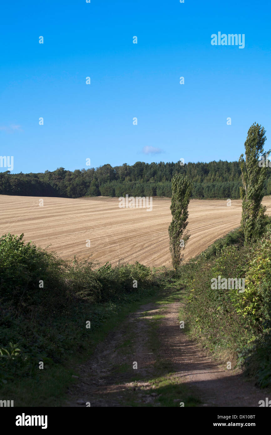 Damerham village hi-res stock photography and images - Alamy