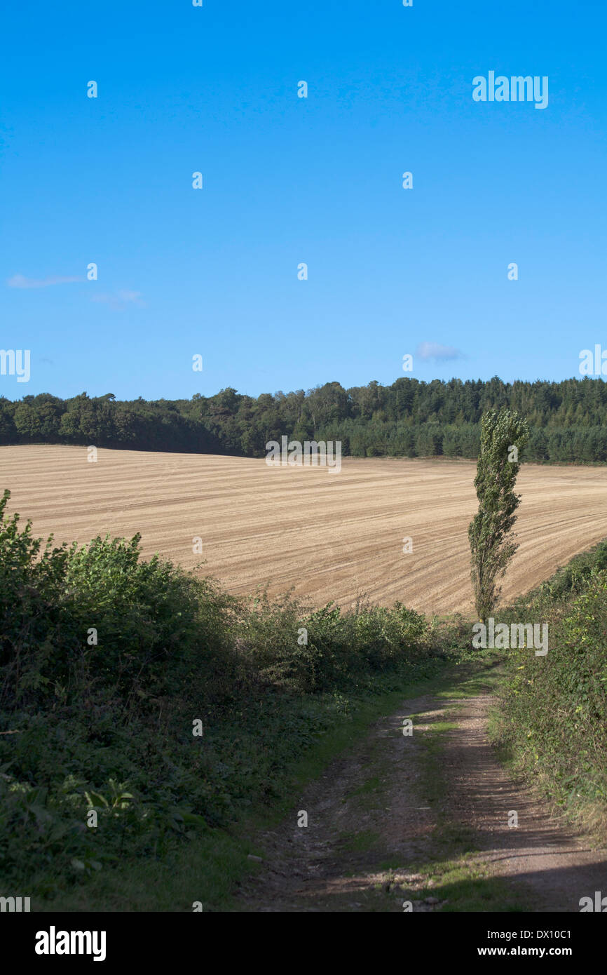 Damerham village hi-res stock photography and images - Alamy