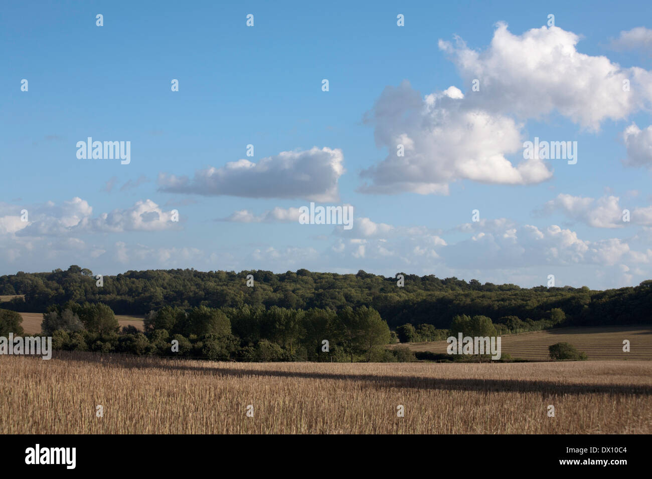 Damerham village hi-res stock photography and images - Alamy