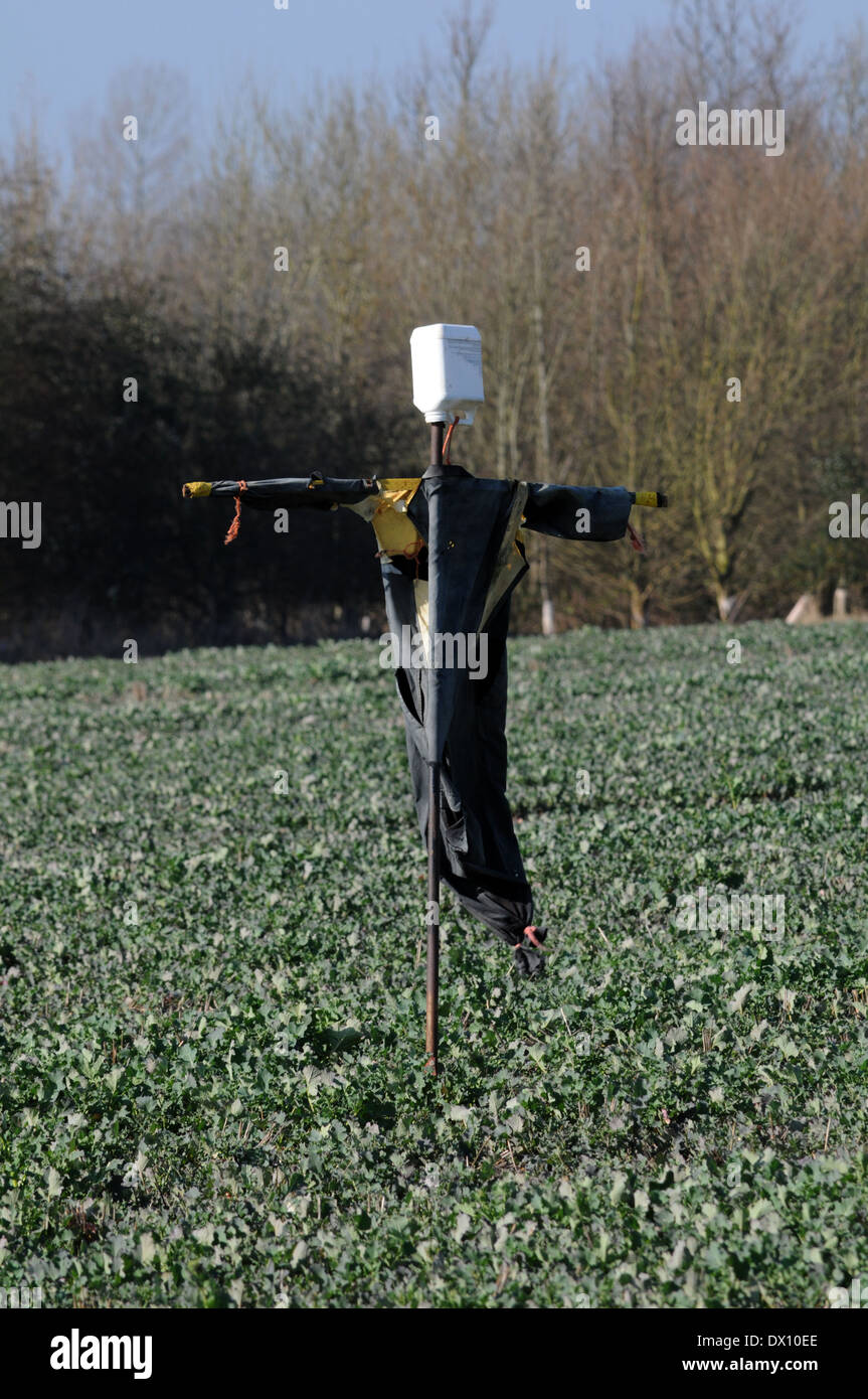 scarecrow in field Stock Photo - Alamy