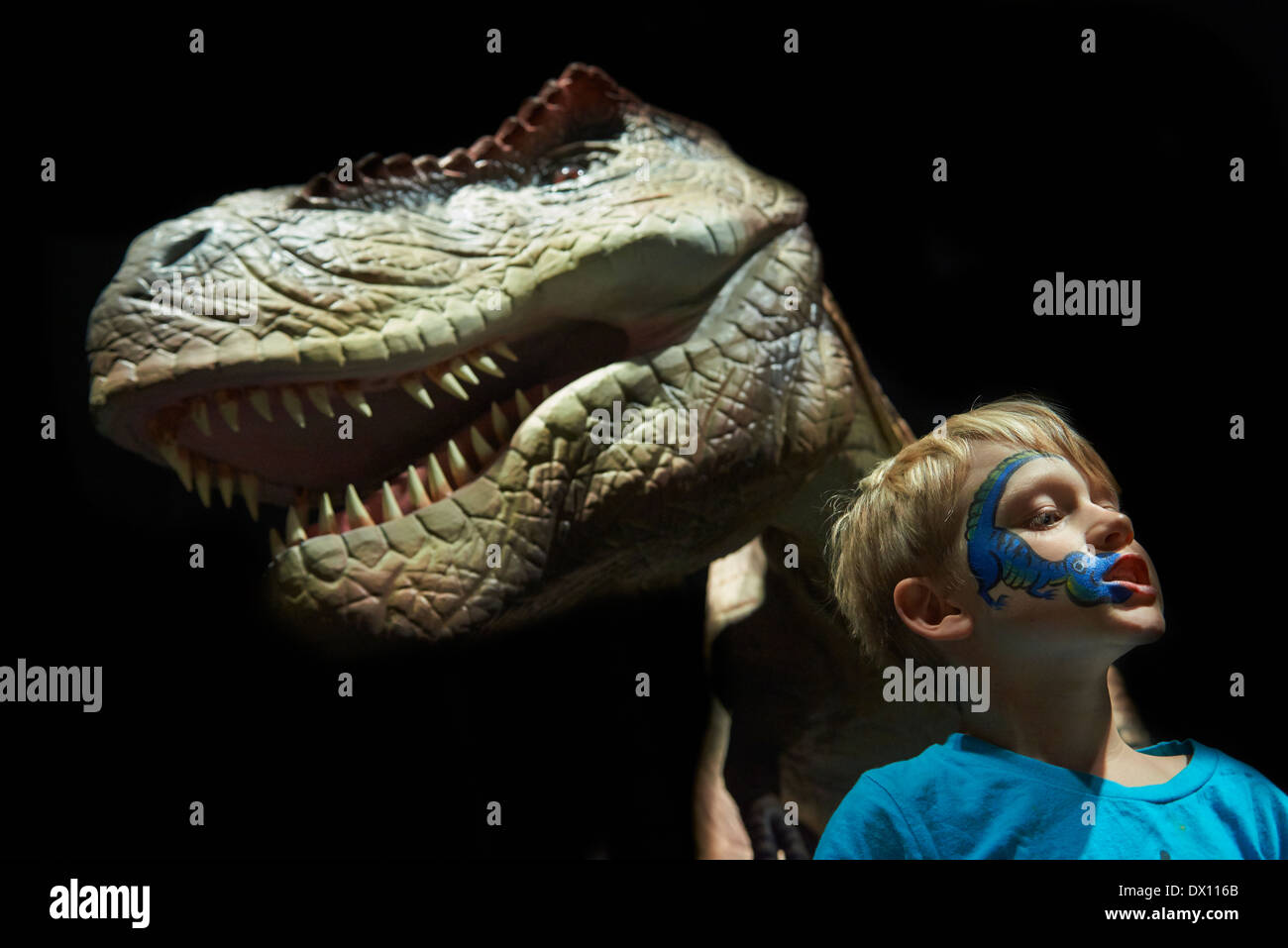 Child blond boy making fun with real life model of Tyrannosaurus rex ...