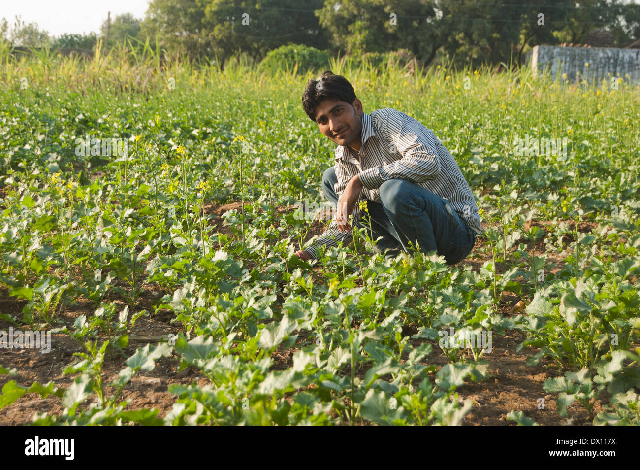 Simple sitting seated hi-res stock photography and images - Alamy