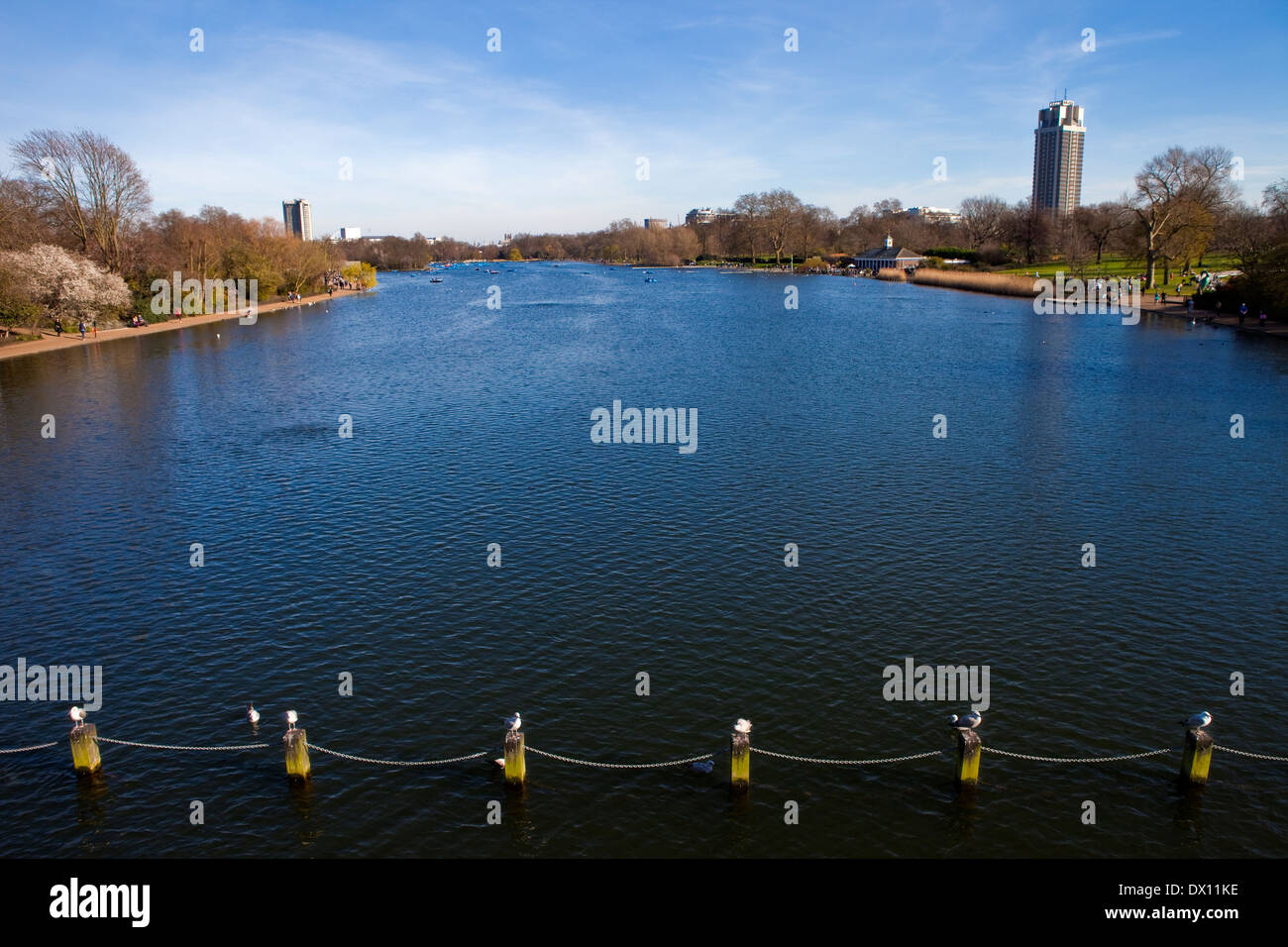 The beautiful Serpentine in London's Hyde Park Stock Photo - Alamy