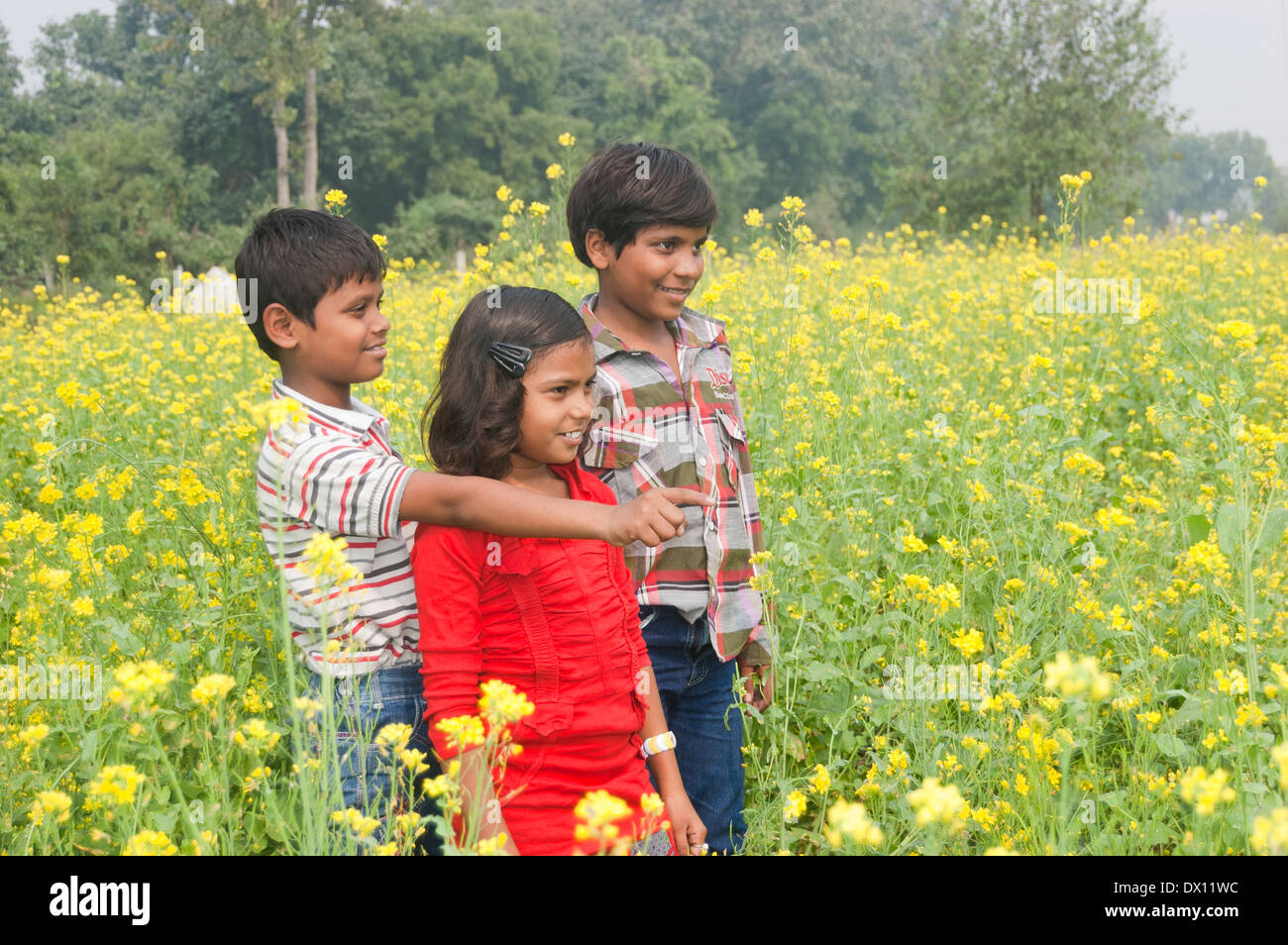 Indian Rural Kids Standing in farms Stock Photo - Alamy