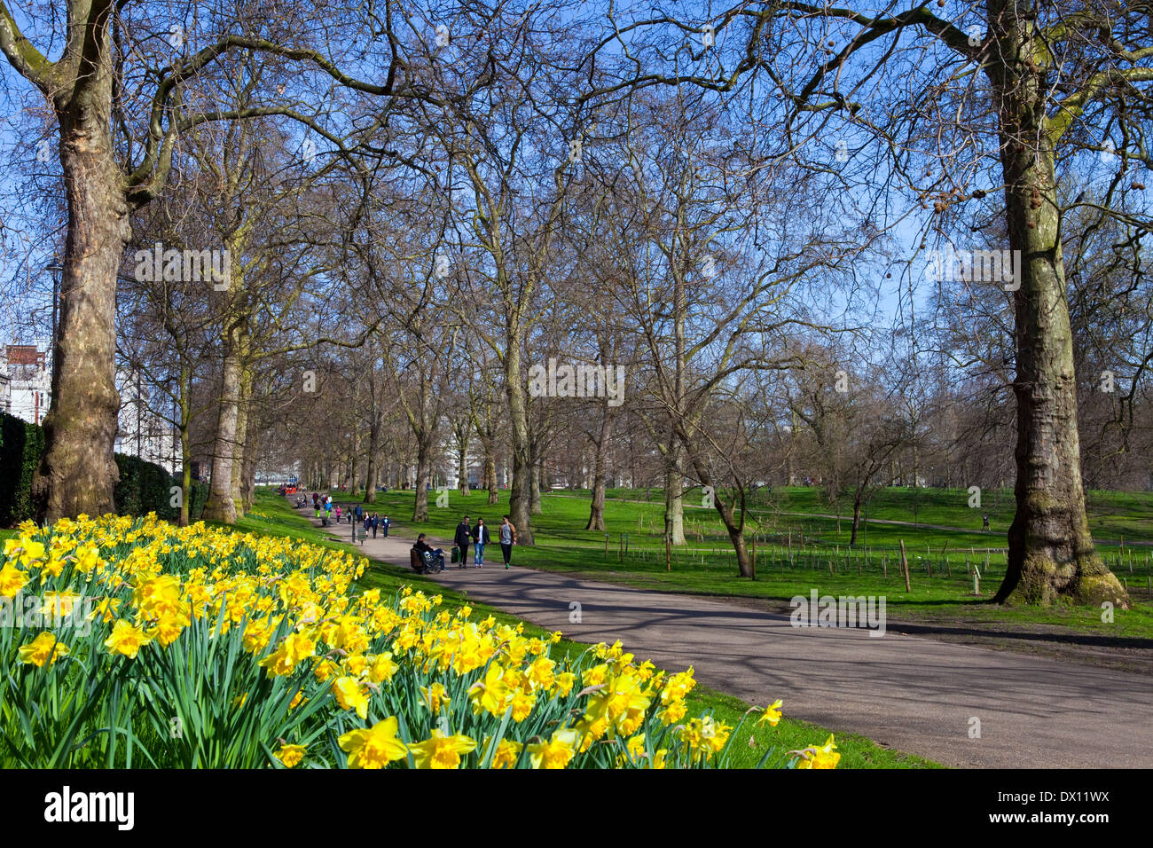 The beautiful Green Park in London Stock Photo - Alamy