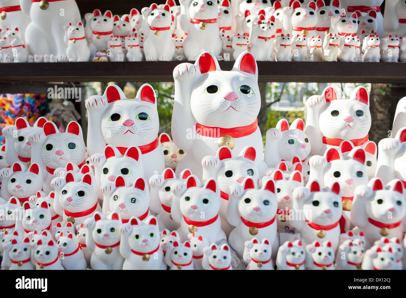 Maneki-neko at Goutokuji Shrine, Tokyo, Japan Stock Photo - Alamy