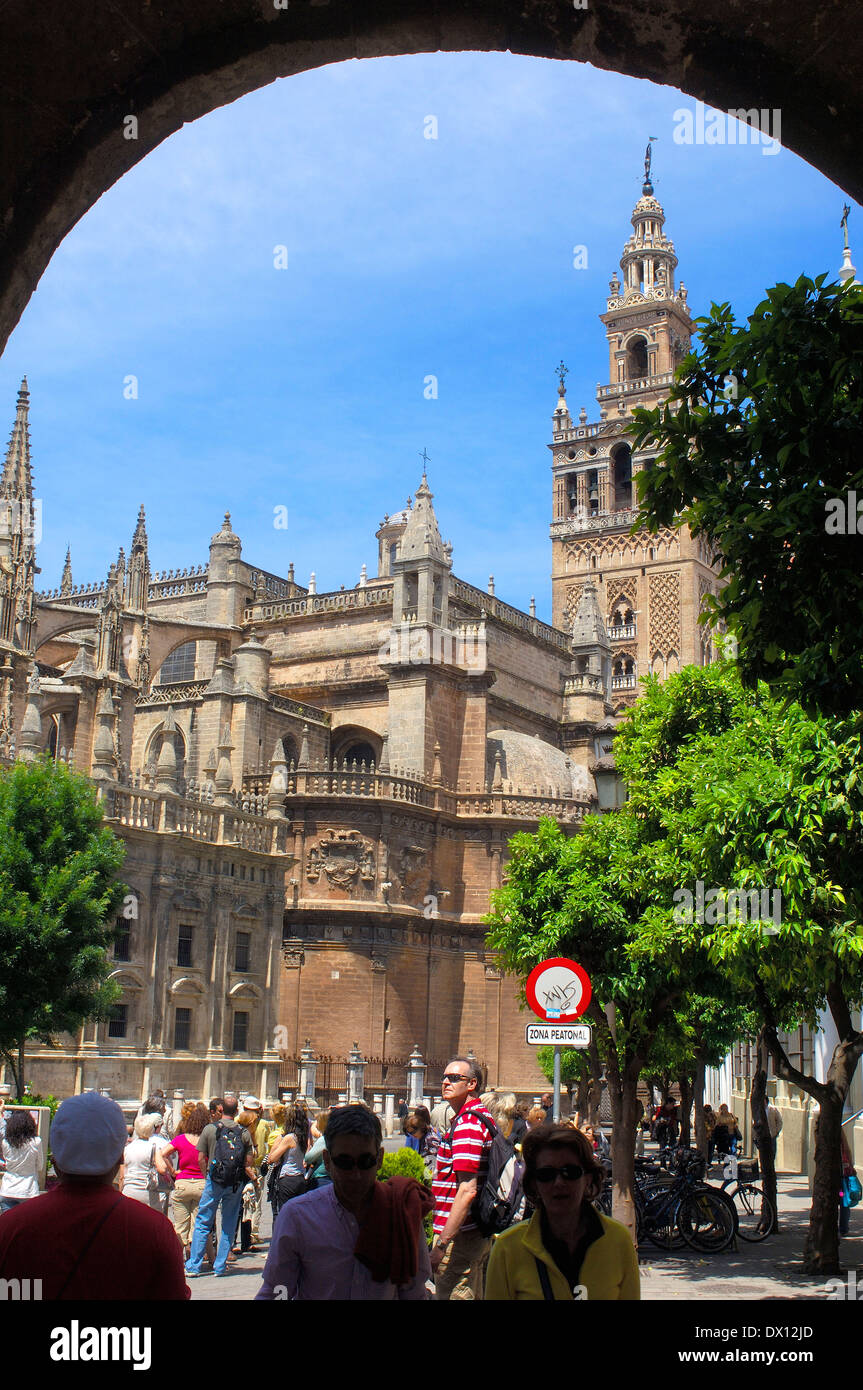 Vertical shot seville cathedral hi-res stock photography and images - Alamy
