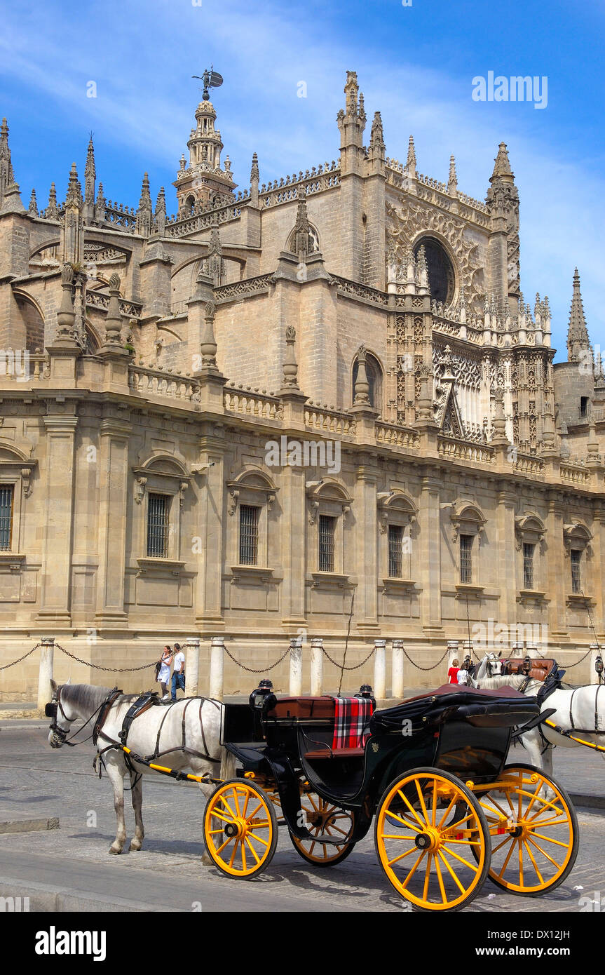 Vertical shot seville cathedral hi-res stock photography and images - Alamy