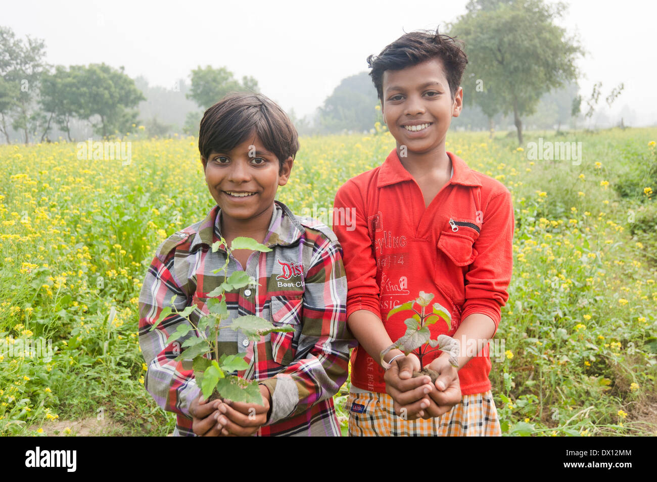 Indian Rural Kids standing with Plant Stock Photo - Alamy