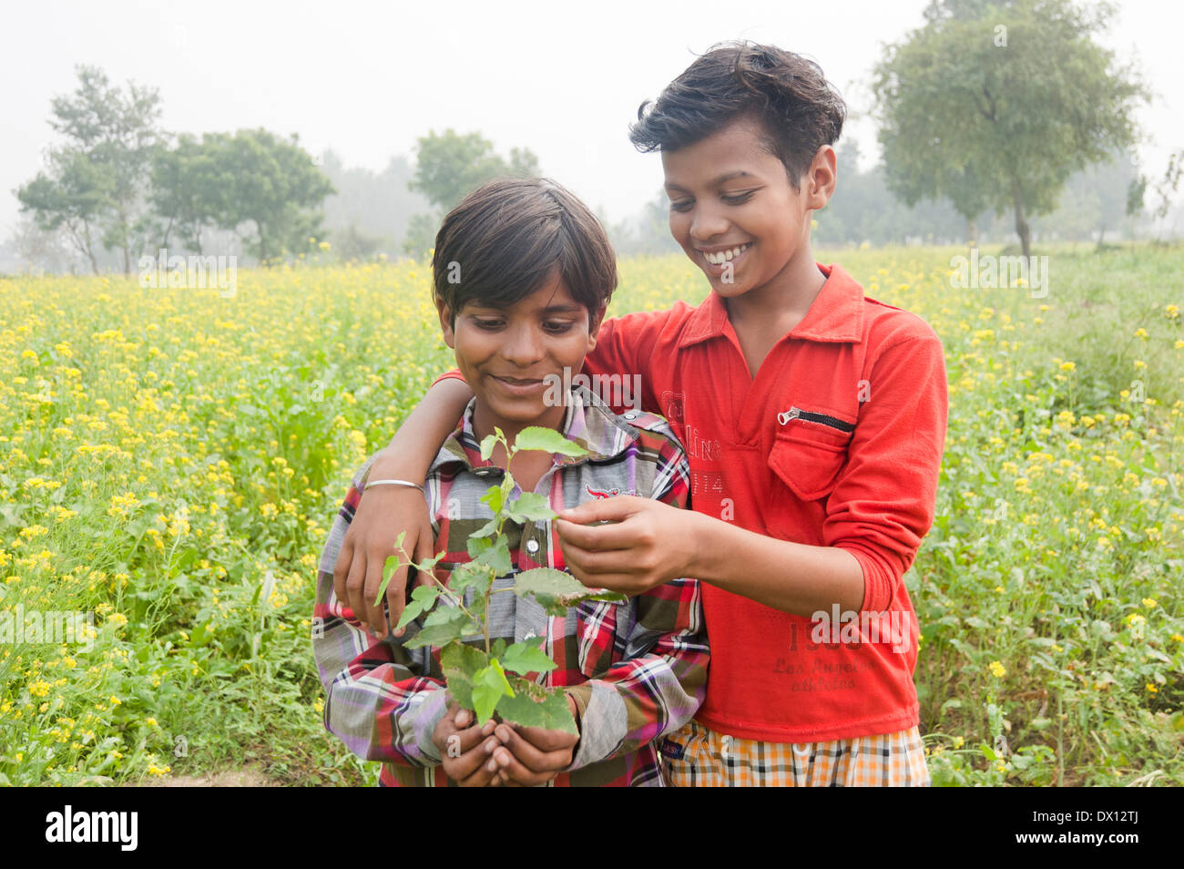 Indian Rural Kids standing with Plant Stock Photo - Alamy