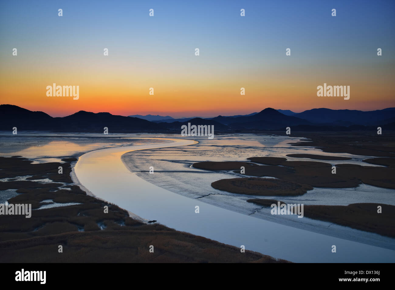 Sunset of Reeds field in Suncheon Bay in Korea Stock Photo - Alamy