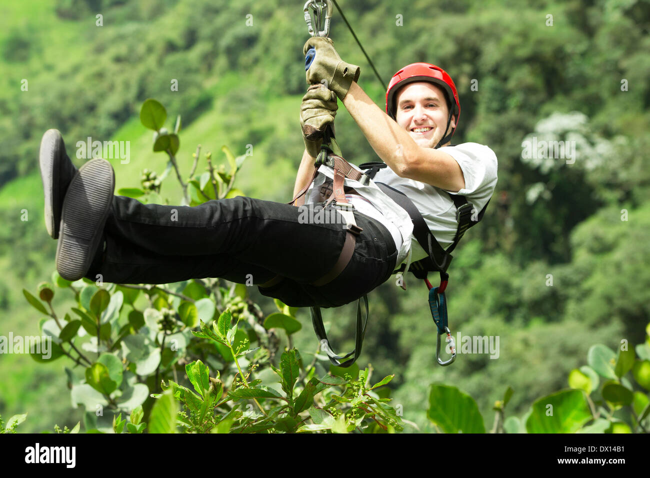 Adult Man On Zip Line Andes Rain Forest In Ecuador Stock Photo - Alamy