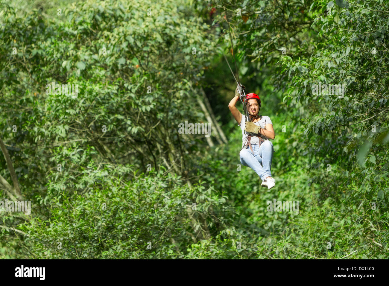Young Woman On Zip Line Stock Photo - Alamy