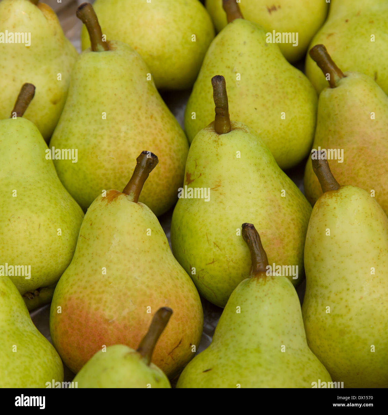 Multiple William pear closeup whole Stock Photo - Alamy