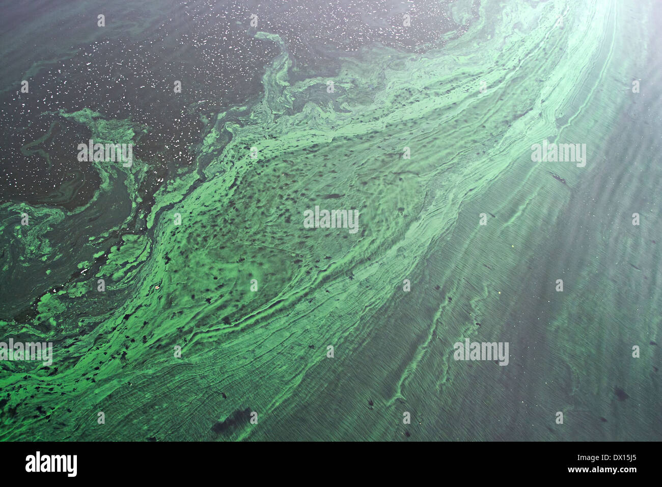 Surface runoff pollution hi-res stock photography and images - Alamy