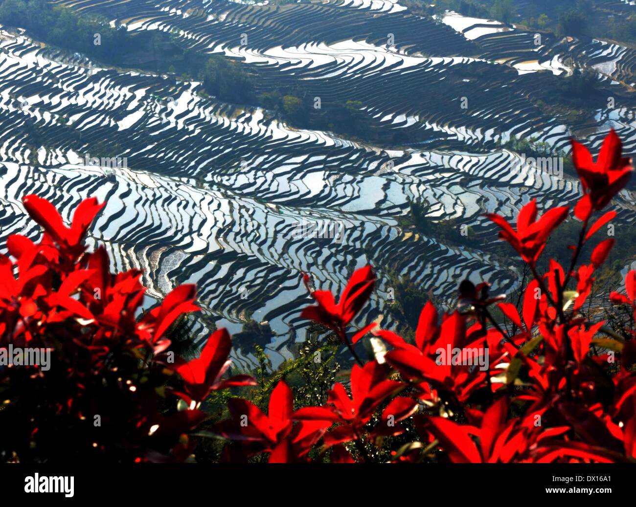 Honghe Hani And Yi Autonomous Prefecture High Resolution Stock ...