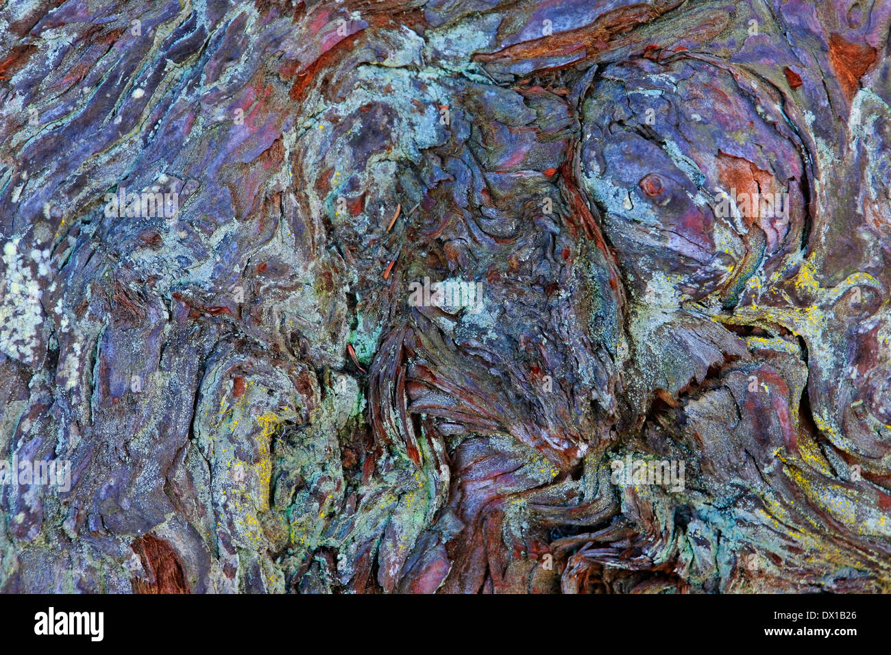 Full screen high resolution shot of Wood Stock Photo - Alamy