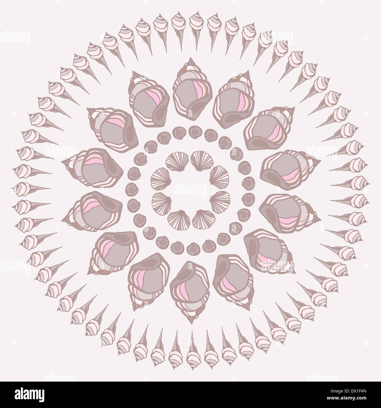 Sea Shell Mandala High Resolution Stock Photography and Images - Alamy