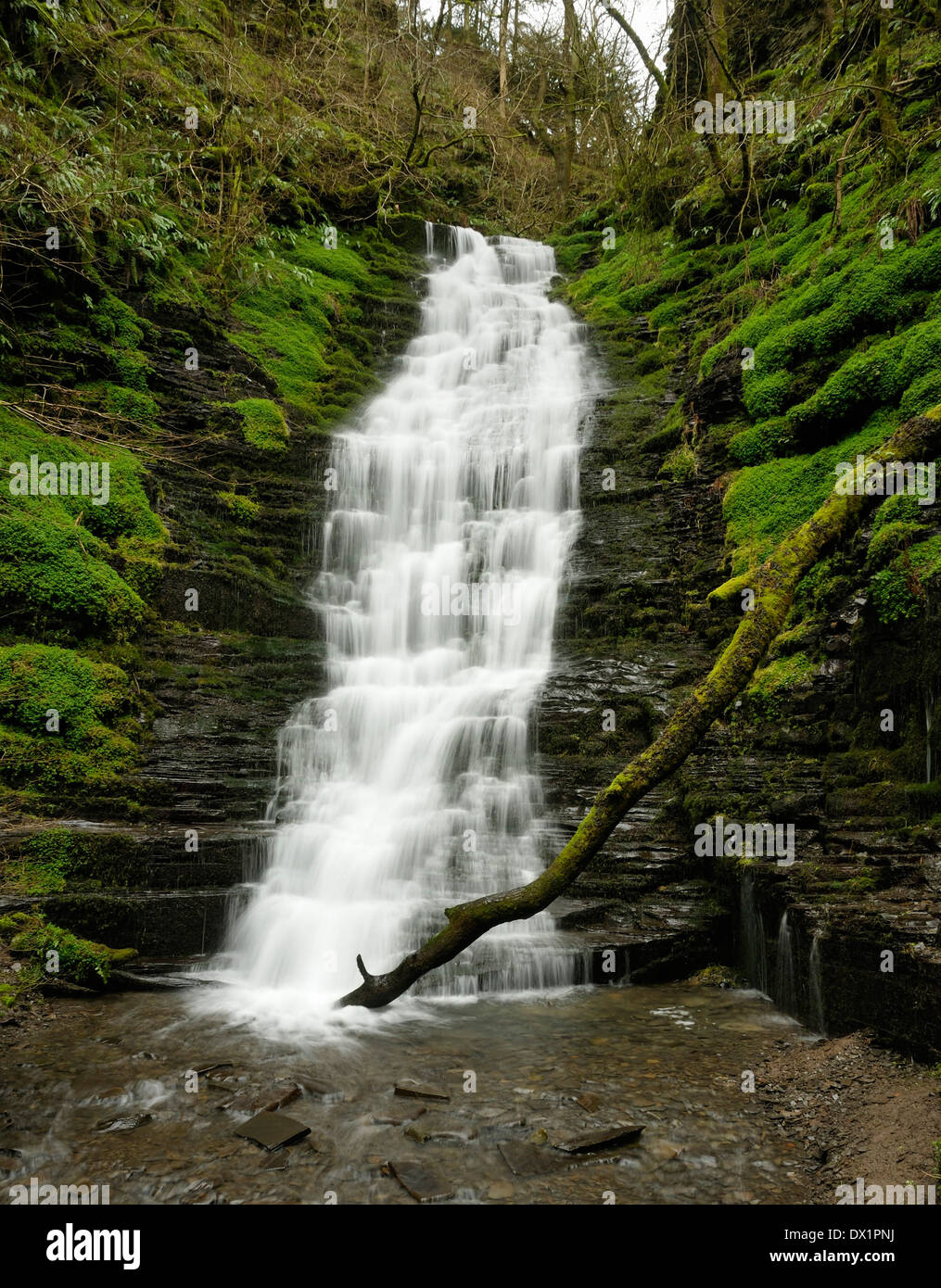 Water break its neck waterfall hi-res stock photography and images - Alamy