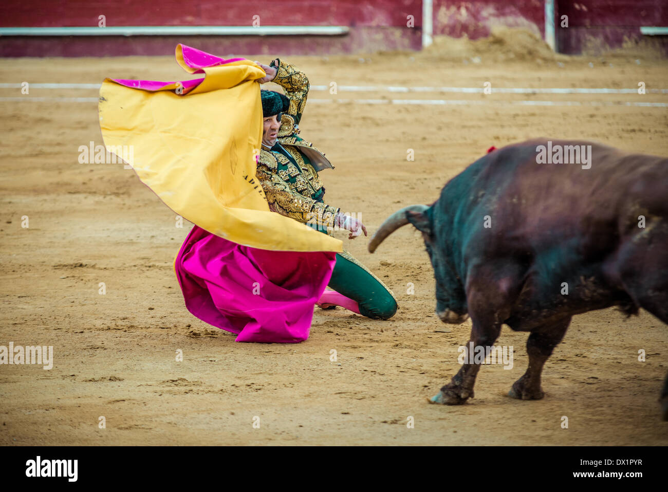 Valencia, Spain. March 16th, 2014: Spanish bullfighter Juan Jose ...