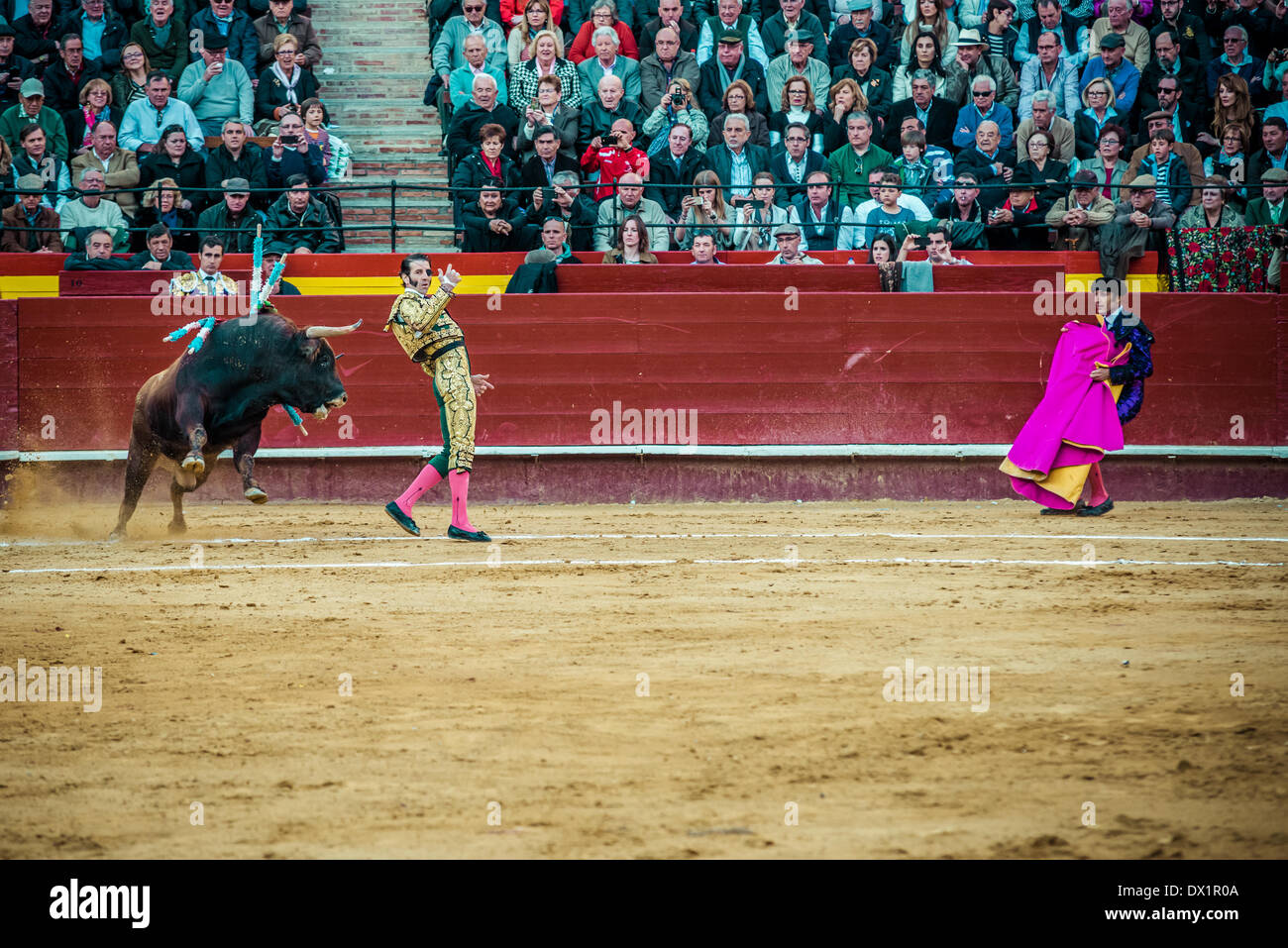 Valencia, Spain. March 16th, 2014: Spanish bullfighter Juan Jose ...