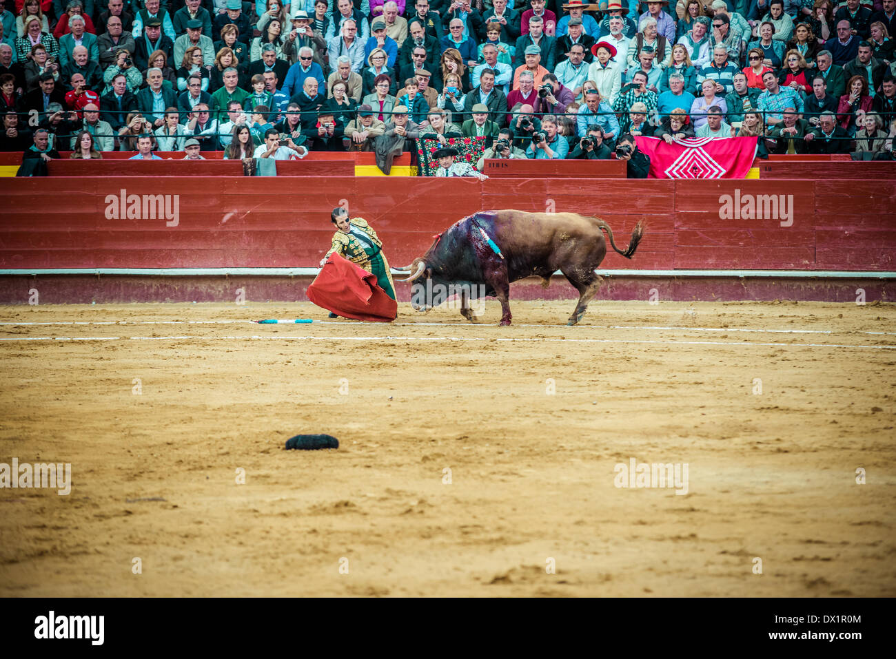 Valencia, Spain. March 16th, 2014: Spanish bullfighter Juan Jose ...