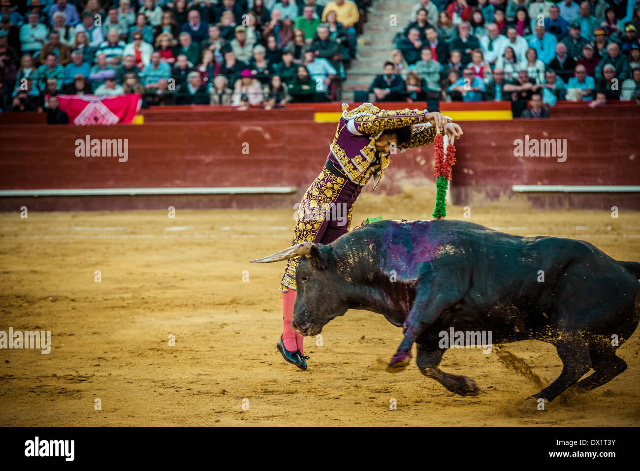 Valencia, Spain. March 16th, 2014: Spanish bullfighter David Fandila ...
