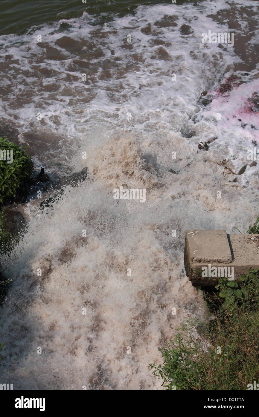 Kaveri River Pollution