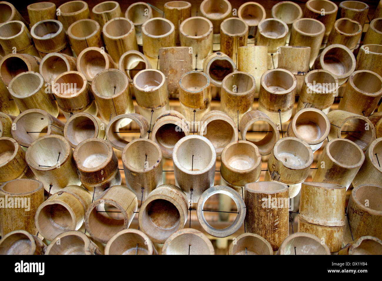 Bamboo cross section hi-res stock photography and images - Alamy