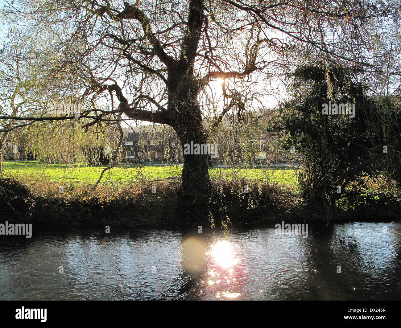 Kent countryside in early spring hi-res stock photography and images ...