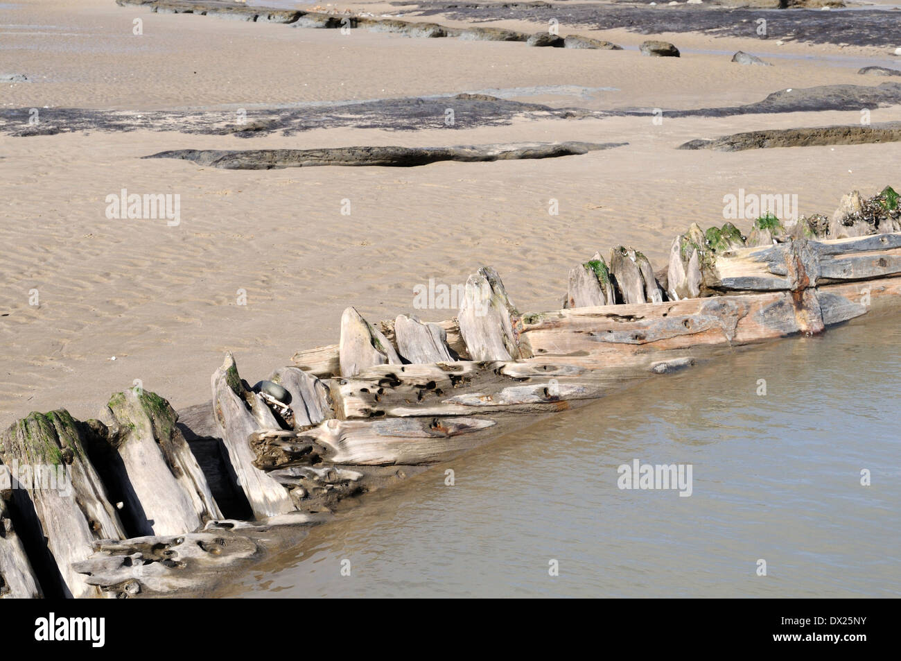 Detail of the wreck of The Rover lost on 8th December 1886 exposed ...