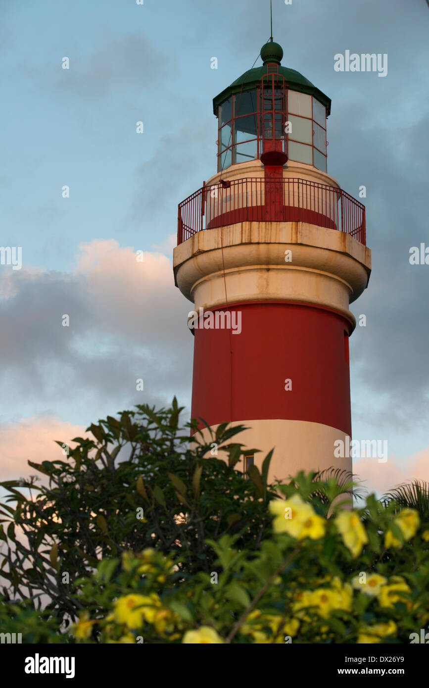 Safeguarding hi-res stock photography and images - Alamy