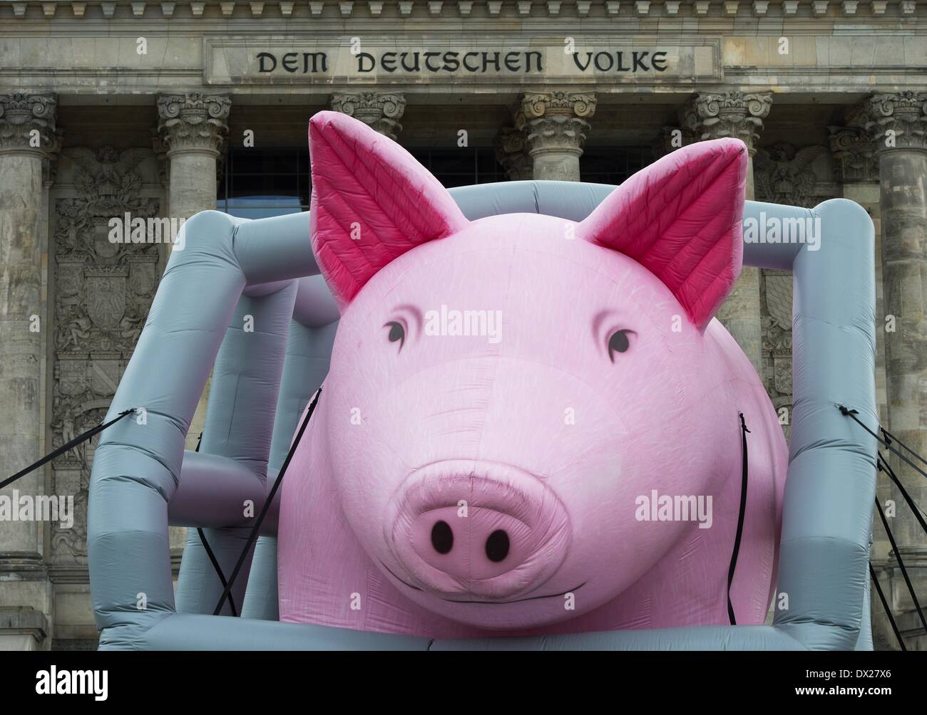 Pig farming cruel hi-res stock photography and images - Alamy