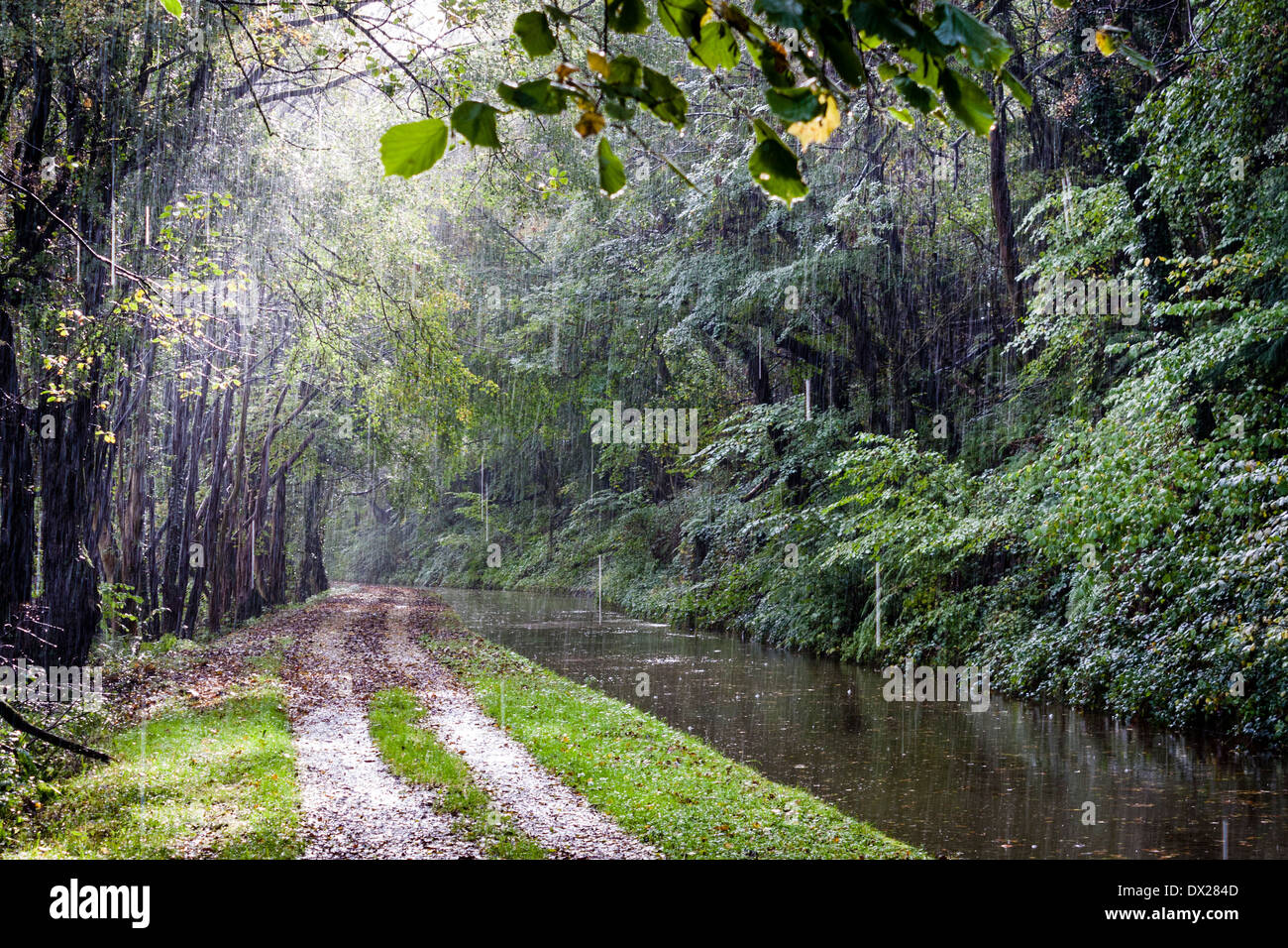 Monmouthshire and Brecon Canal towpath in heavy rain Stock Photo - Alamy