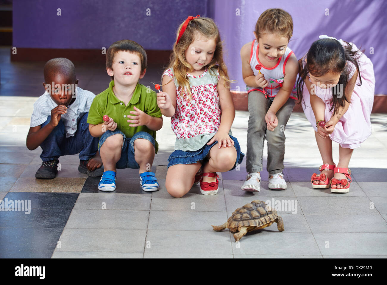 Turtle boy hi-res stock photography and images - Alamy