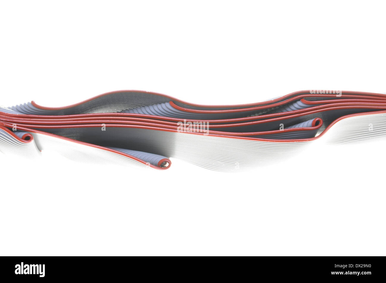 Computer bus line cable isolated on white background Stock Photo - Alamy