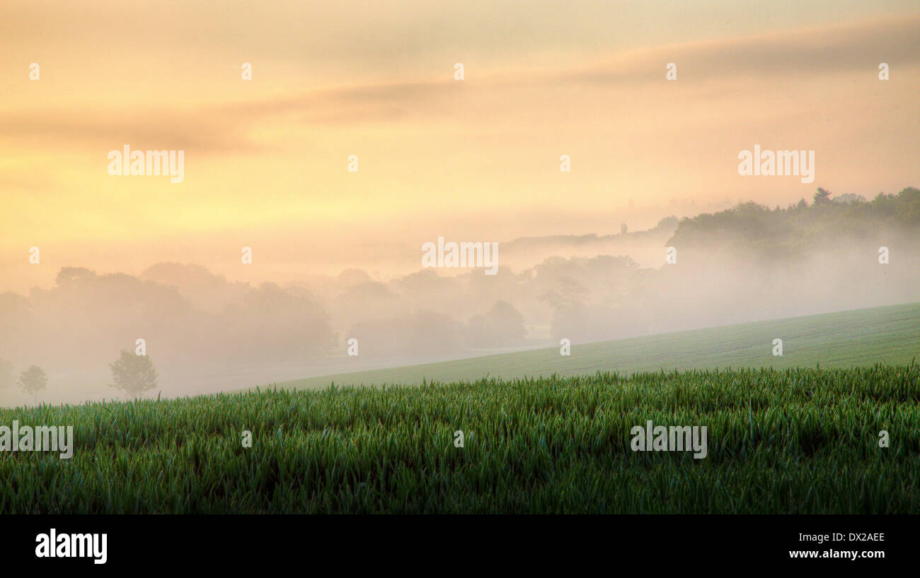 On fields hi-res stock photography and images - Alamy