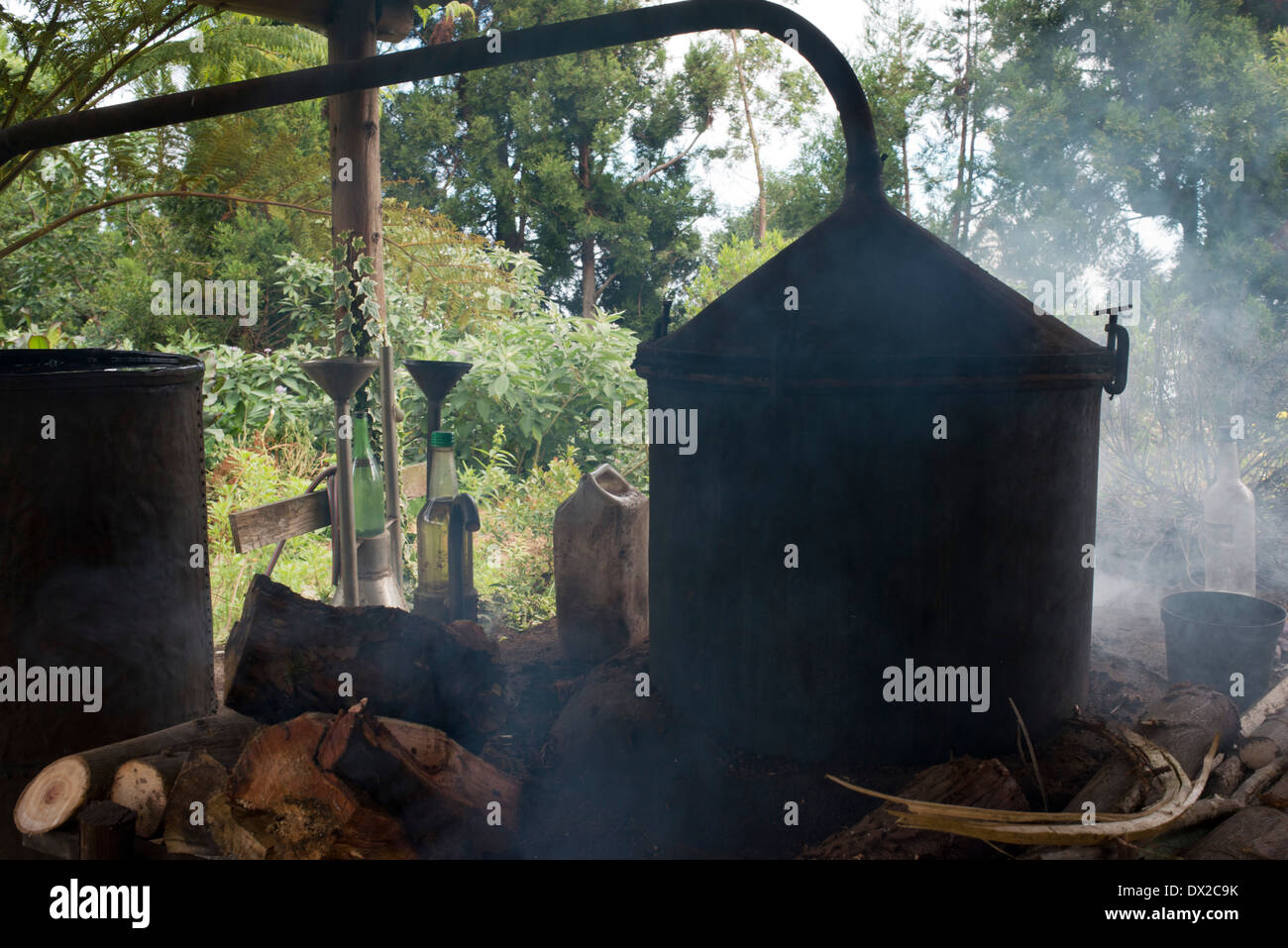Perfume distillery in the small town of Petit France. Chez Isabel ...