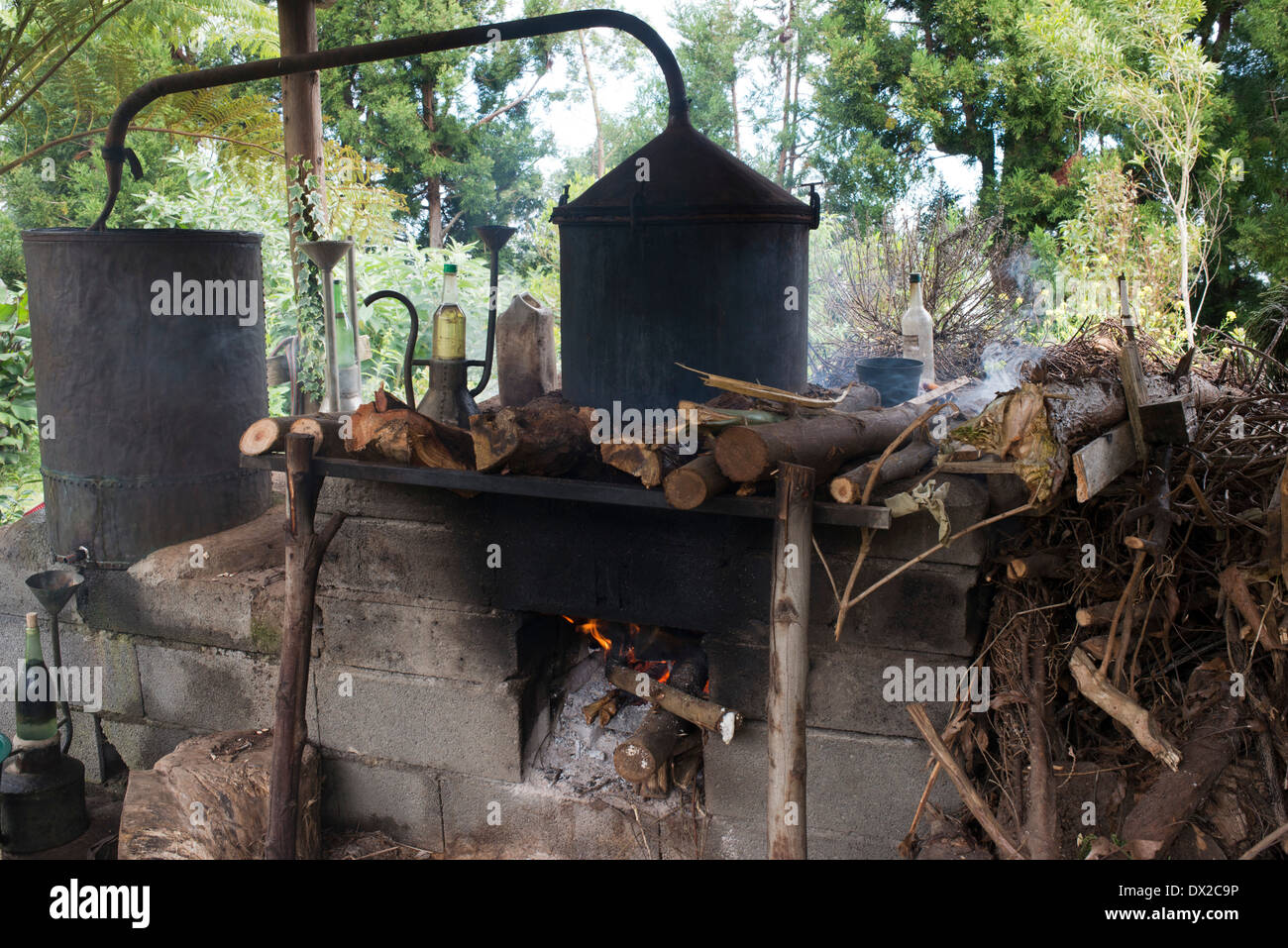 Perfume distillery in the small town of Petit France. Chez Isabel ...